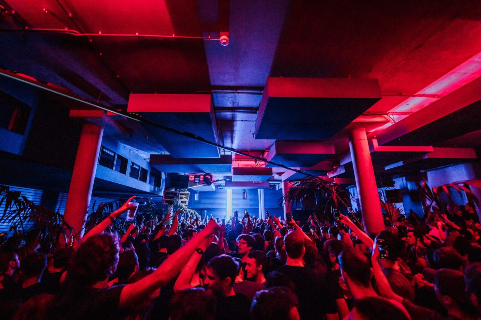 Feiern in Amsterdam: Der ultimative Partyguide - Amsterdamliebe